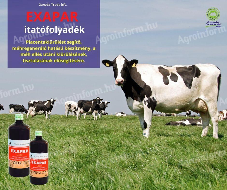 MÉHREGENERÁLÓDÁS, ELLÉS UTÁNI MÉHKEZELÉS - EXAPAR ITATÓFOLYADÉK 1l ...