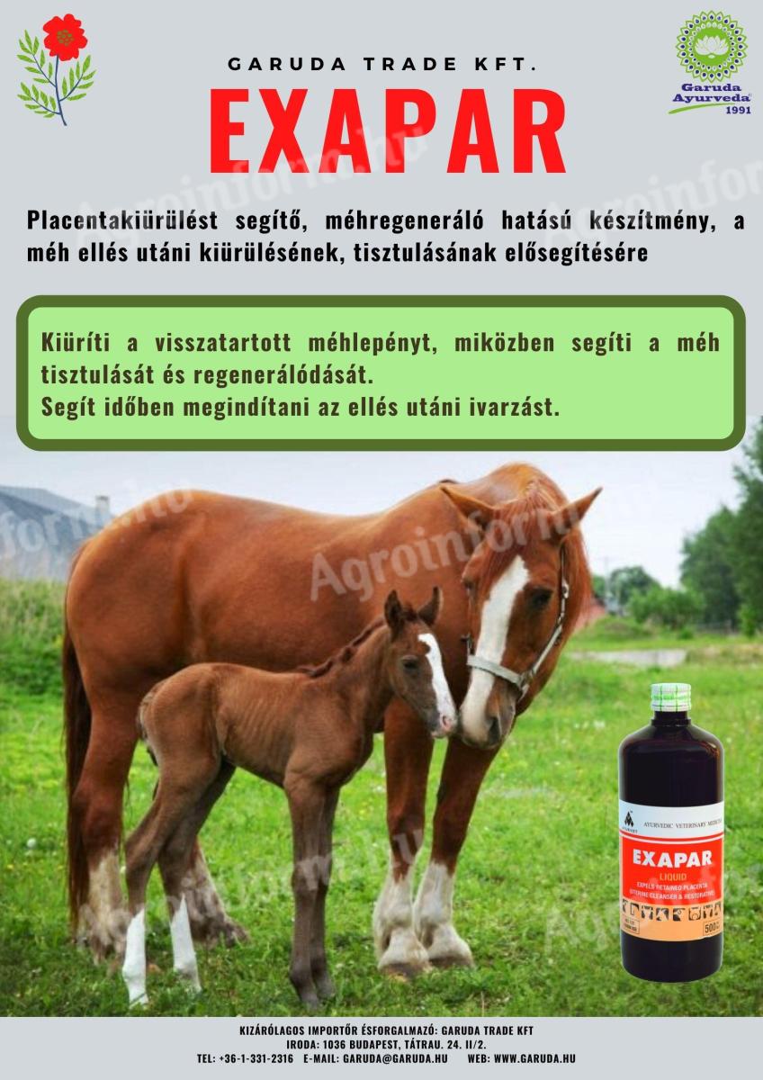 MÉHREGENERÁLÓDÁS, ELLÉS UTÁNI MÉHKEZELÉS - EXAPAR ITATÓFOLYADÉK 1l ...