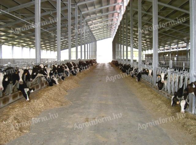 Szarvasmarha és baromfi könnyű szerkezetes istállok - Békés vármegye ...