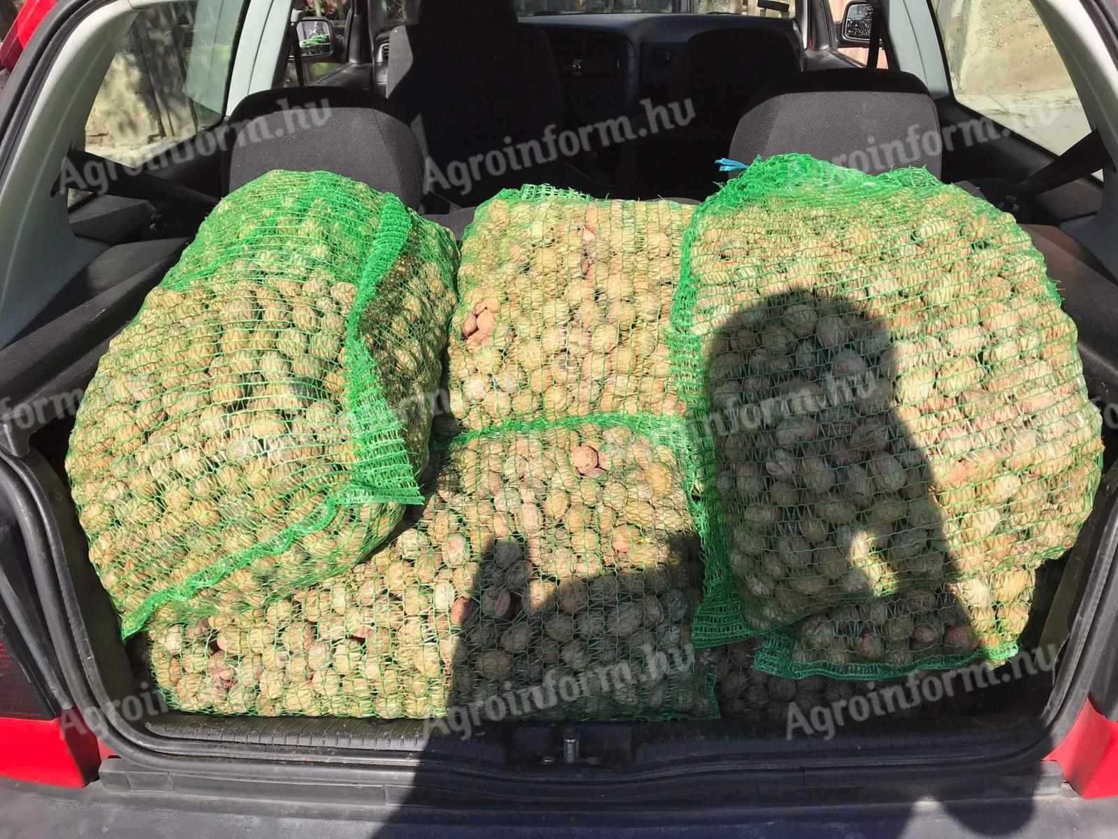 Eladó héjas papirhéjú Dió - Tolna megye Dombóvár - Agroinform.hu