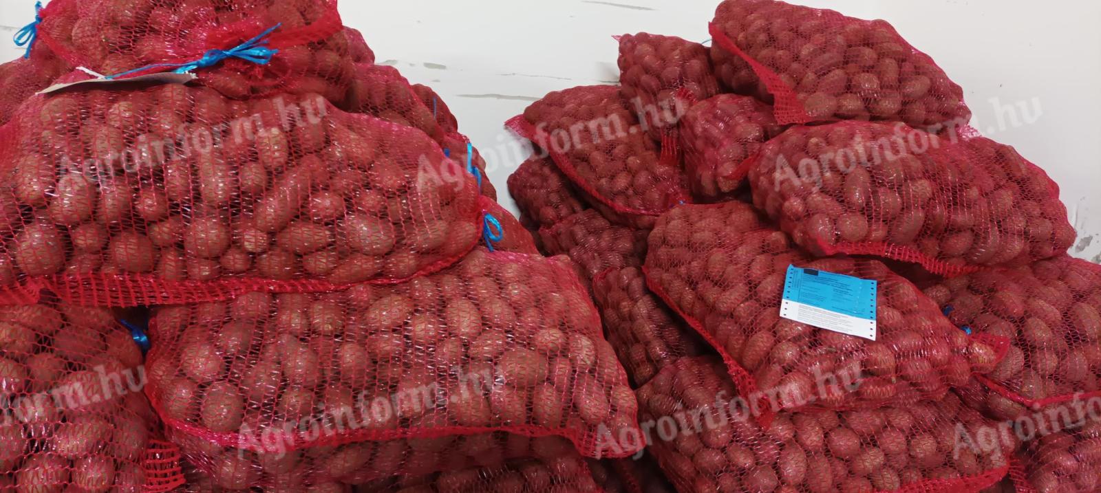 Vetőmag Burgonya - Bács-Kiskun megye Tiszakécske - Agroinform.hu