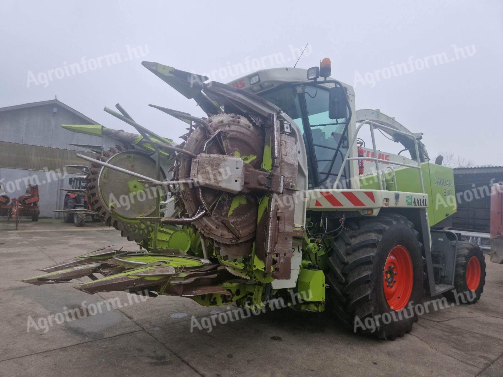 Claas Jaguár 830 silózó - Hajdú-Bihar vármegye Hajdúnánás - Agroinform.hu