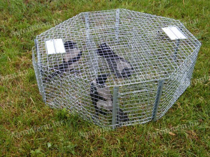 Szarka csapda eladó - Zala megye Keszthely - Agroinform.hu