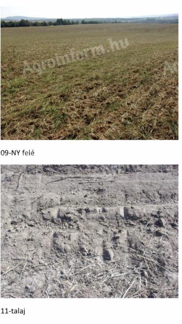 Perōcsèny - szàntó - Pest vármegye Perőcsény - Agroinform.hu