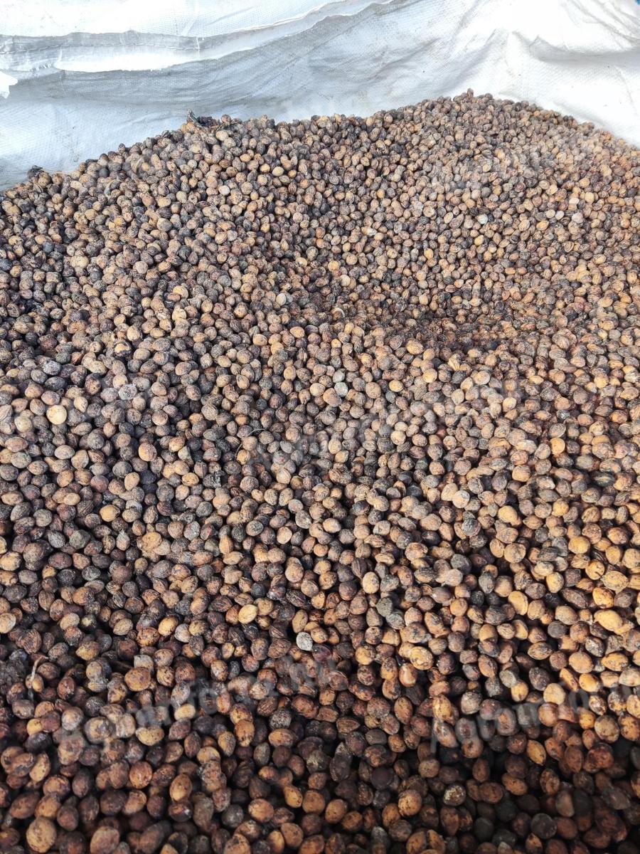 Eladó szárított meggymag nagy mennyiségben kiváló fűtőértékkel ...