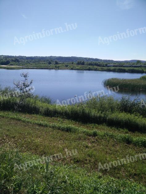 Zalaegerszegen 22 hektáros kivont fejlesztési terület eladó - Zala vármegye Zalaegerszeg ...