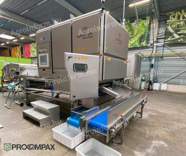 Optimum Sorting Novus, Optikai válogatógép, / kockára vágott burgonya ...