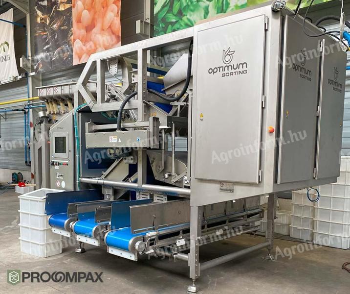 Optimum Sorting Triplus, Optikai válogatógép / egész burgonya, zöldségek, gyümölcsök - Csongrád ...