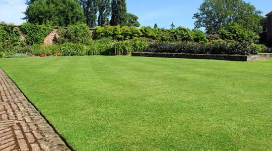 Belarus MTZ 552-piros rendszám-összkerékhajtás-friss műszaki - Bács ...