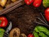 KompleX hatóanyag-tartalmú lombtrágyák - Agroinform.hu